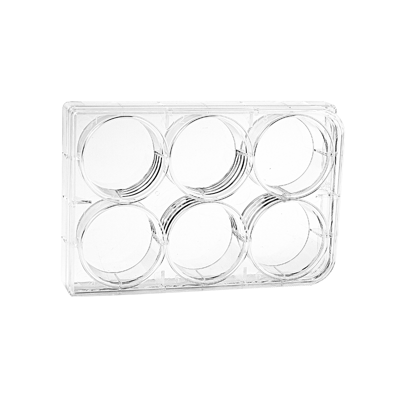 Cell Culture Consumables-Zhejiang Saining Biotechnology Co., Ltd.